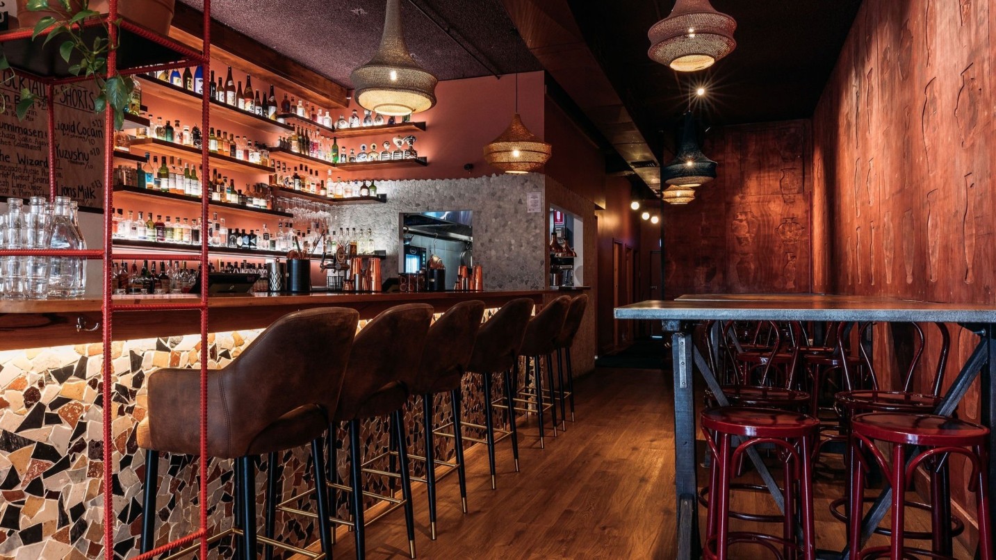 Starting Bar Business Plan (PDF) - StartupBiz Global